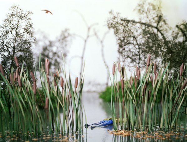 The recreated world of Lori Nix – photography by Angus R. Shamal